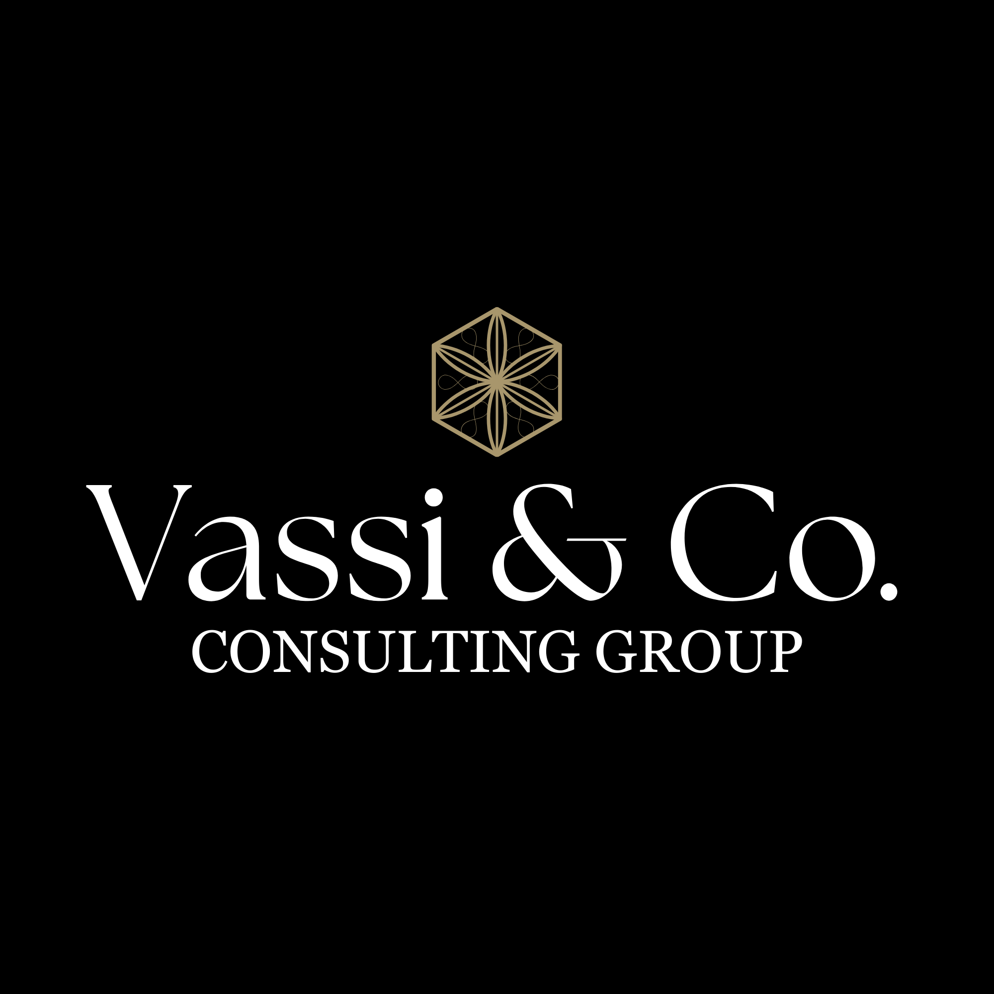 Vassi & Co. Consulting Group